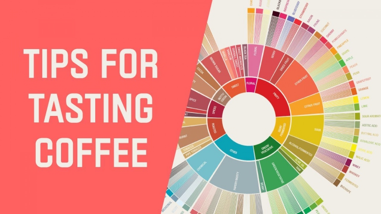 HOW TO TASTE COFFEE FLAVOUR NOTES - Timbertrain Coffee Roasters